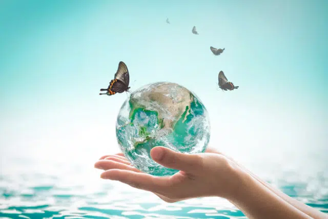 Which Statement is True About Conservation Versus Preservation? [Full ...